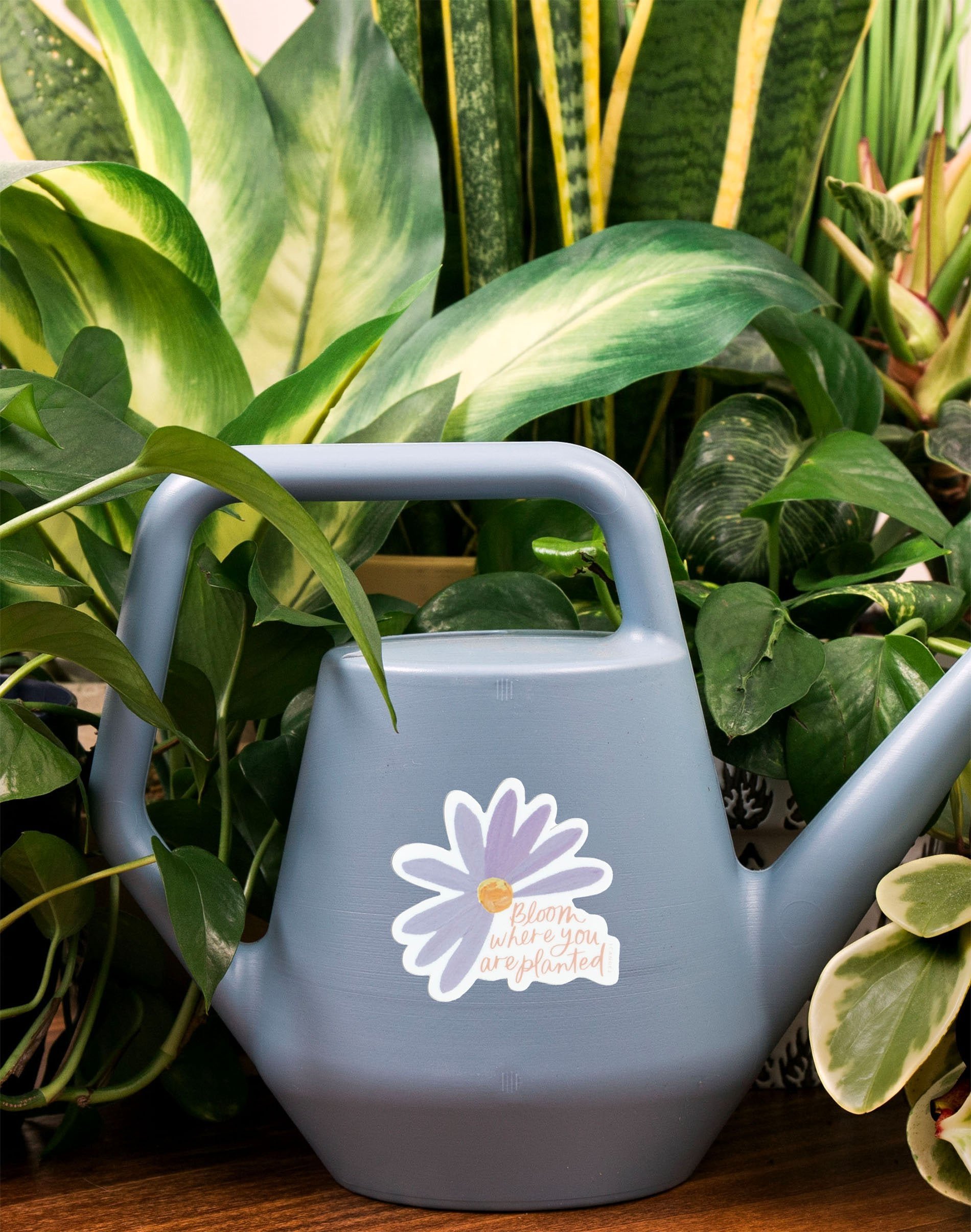 Bloom Where You Are Planted Decal Sticker - 1canoe2