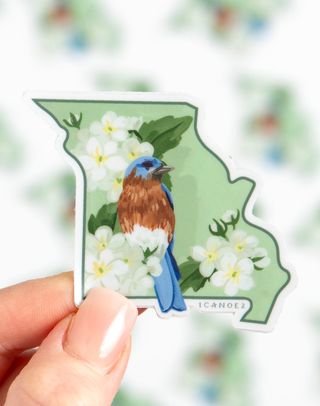 Birds & Blooms Illinois Decal Sticker - 1canoe2