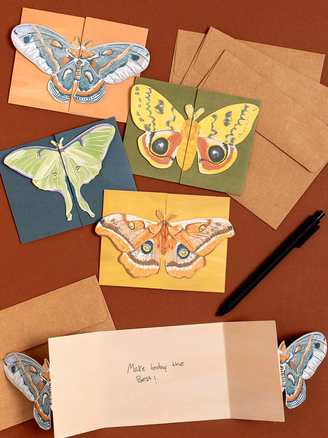 Luna Moths Fold-Out Greeting Card Box Set - 1canoe2