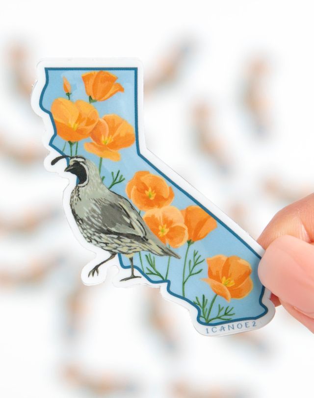 Birds & Blooms Illinois Decal Sticker - 1canoe2